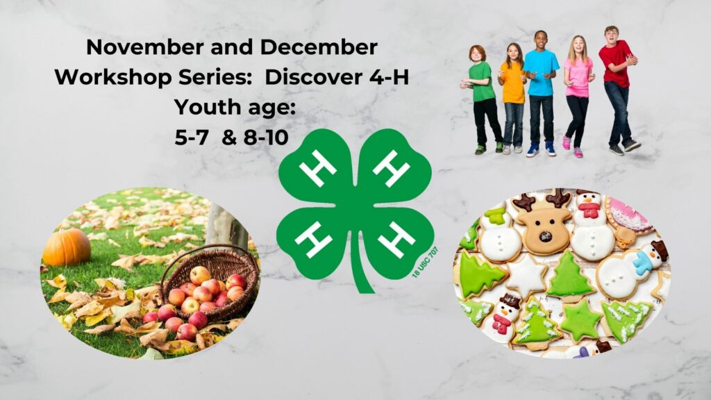 Discover 4-H | N.C. Cooperative Extension